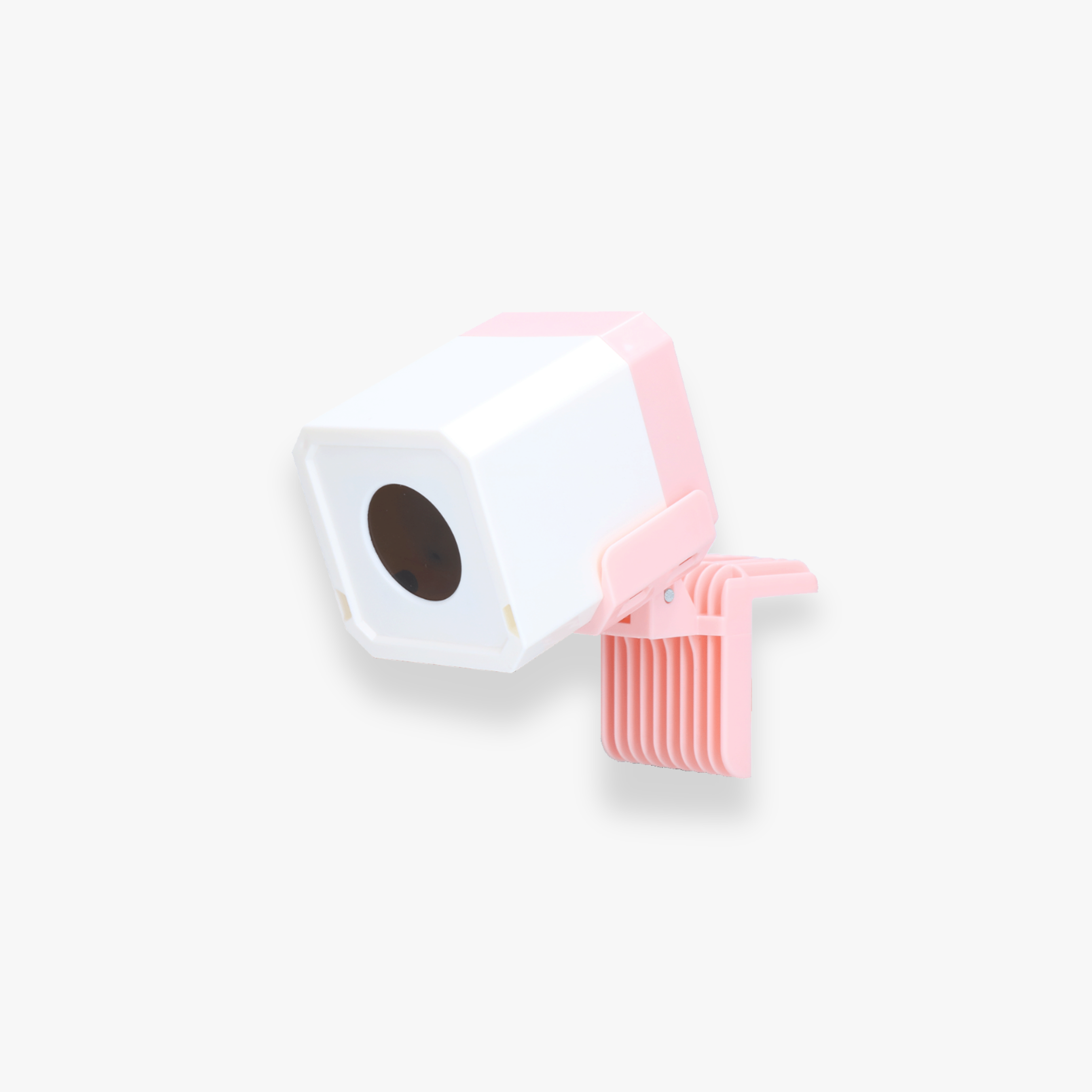 Laserspiel – ANIM Pets